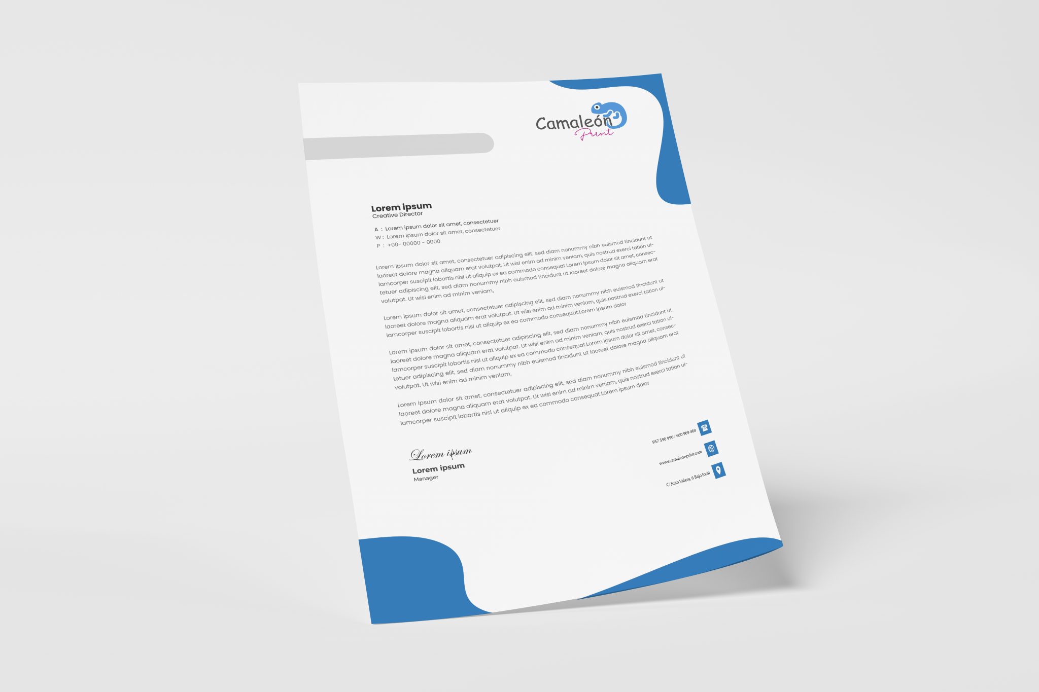 Cartas A4 – Camaleón Print