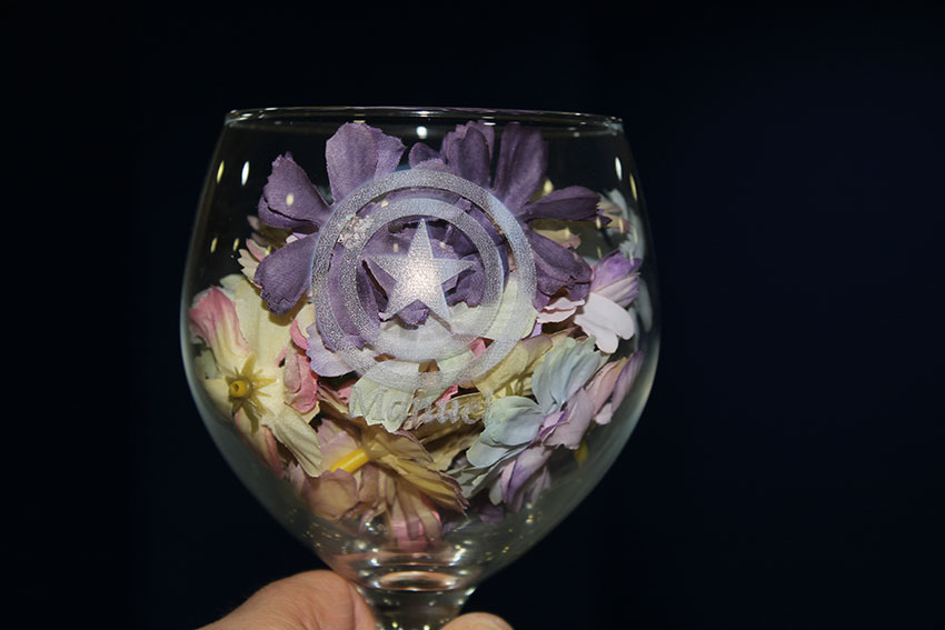 Copa Cubata personalizada – Camaleón Print